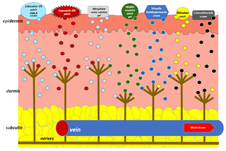 TRANSDERMAL DRUG DELIVERY PATCHES - Dr Sabharwal's Wound Care